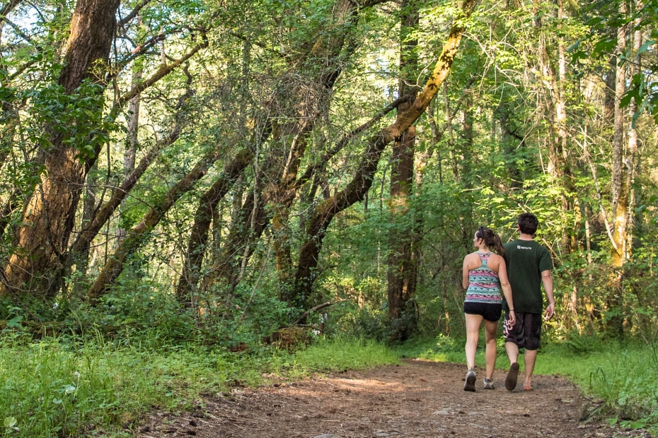 Beginner Hikes in Northern California | Via