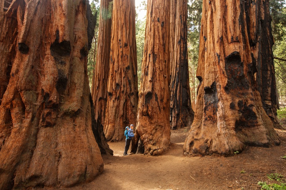 Guide to Sequoia and Kings Canyon National Parks | Via