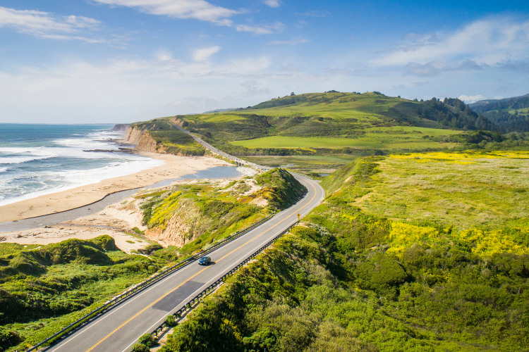 Midcentury Modern Road Trip