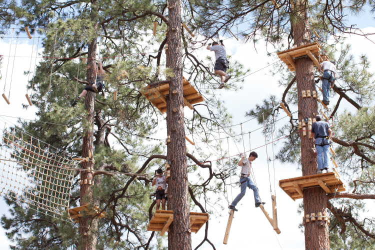 What’s New at California Theme Parks | Via