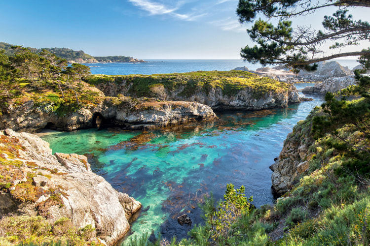 Must-Visit Coastal State Parks in California | Via
