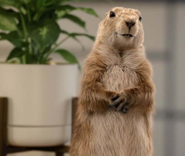 A Commitment to Our Communities | AAA