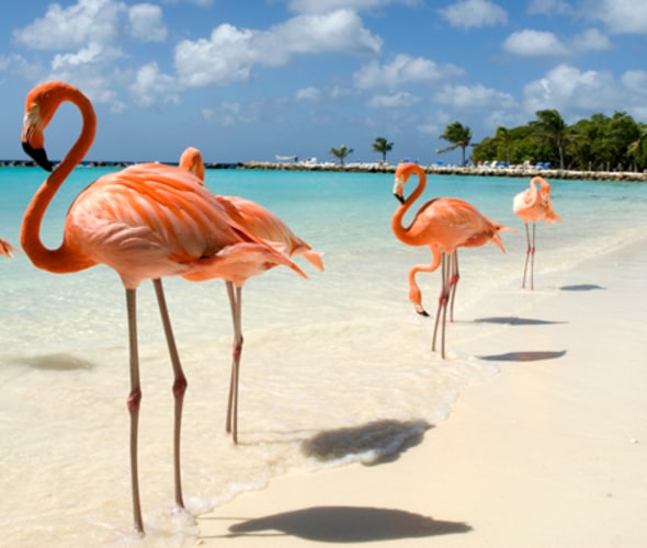 Explore Vacation Ideas: AAA Travel | AAA