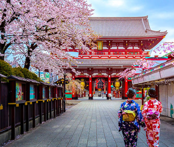 Plan your vacation with AAA and enjoy a food or cultural adventure.