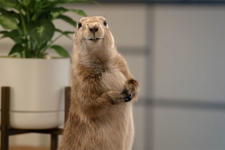 AAA Insurance | Car Auto Home Life & Multi-Policy Discounts