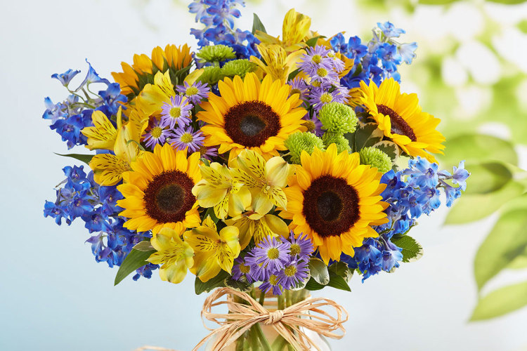 AAA Membership - Benefits, Plans, and Levels