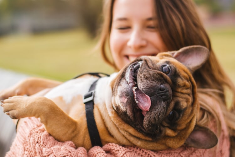 AAA Pet Health Insurance: Plan Overview