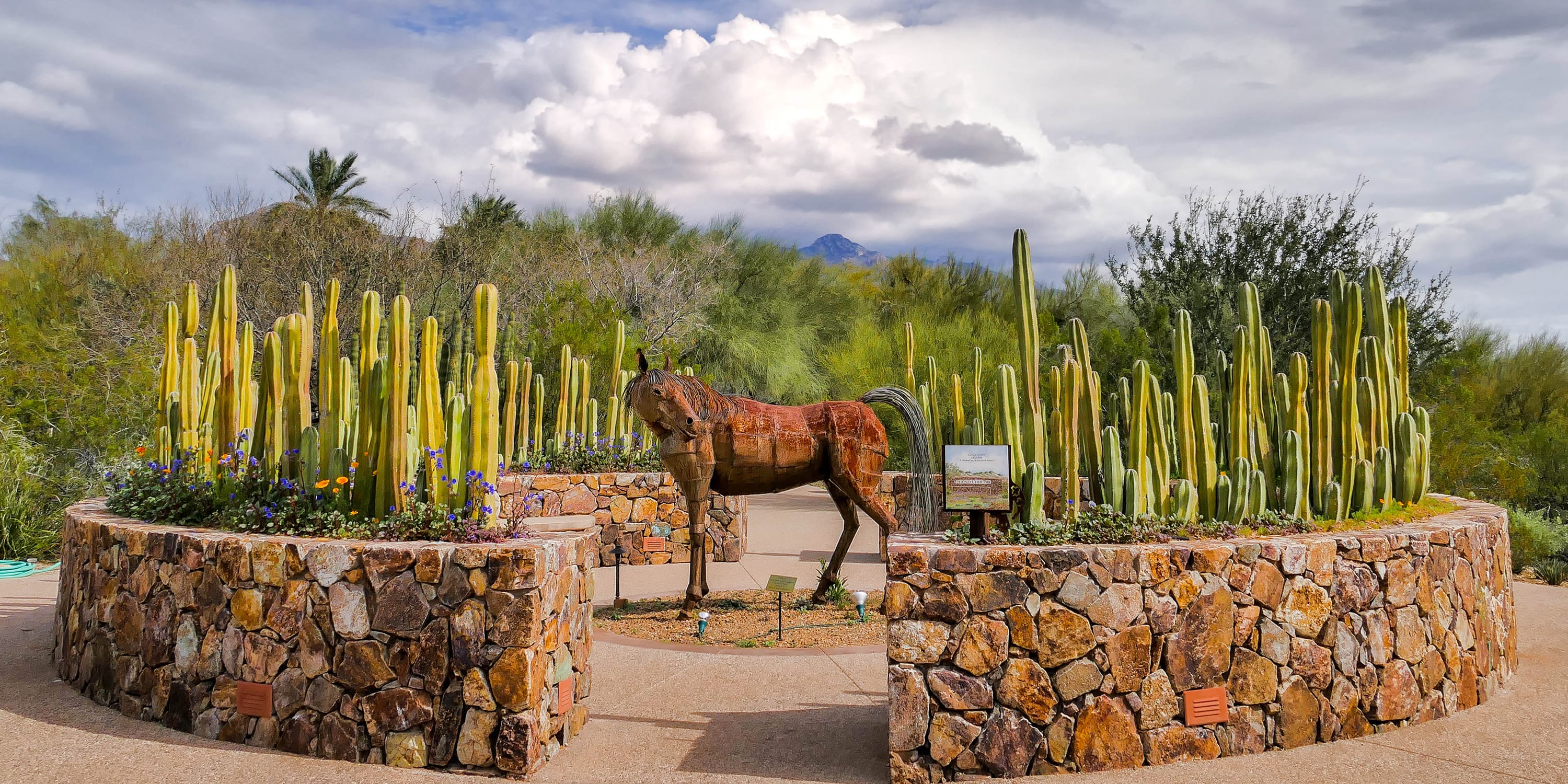 10 Unexpected Places to Visit Around Tucson | Via