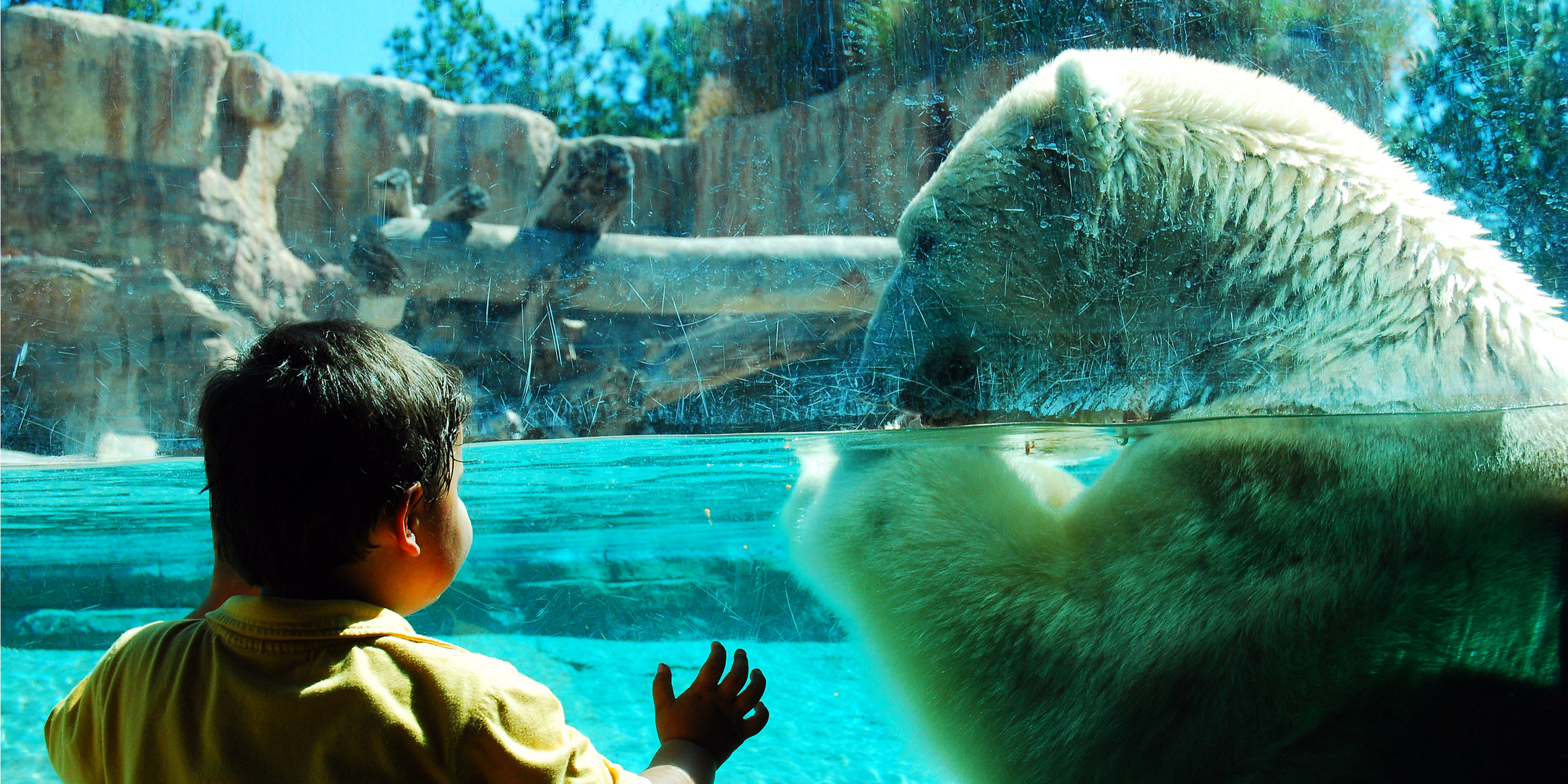 Reader's Favorite Animal Parks and Zoos | Via