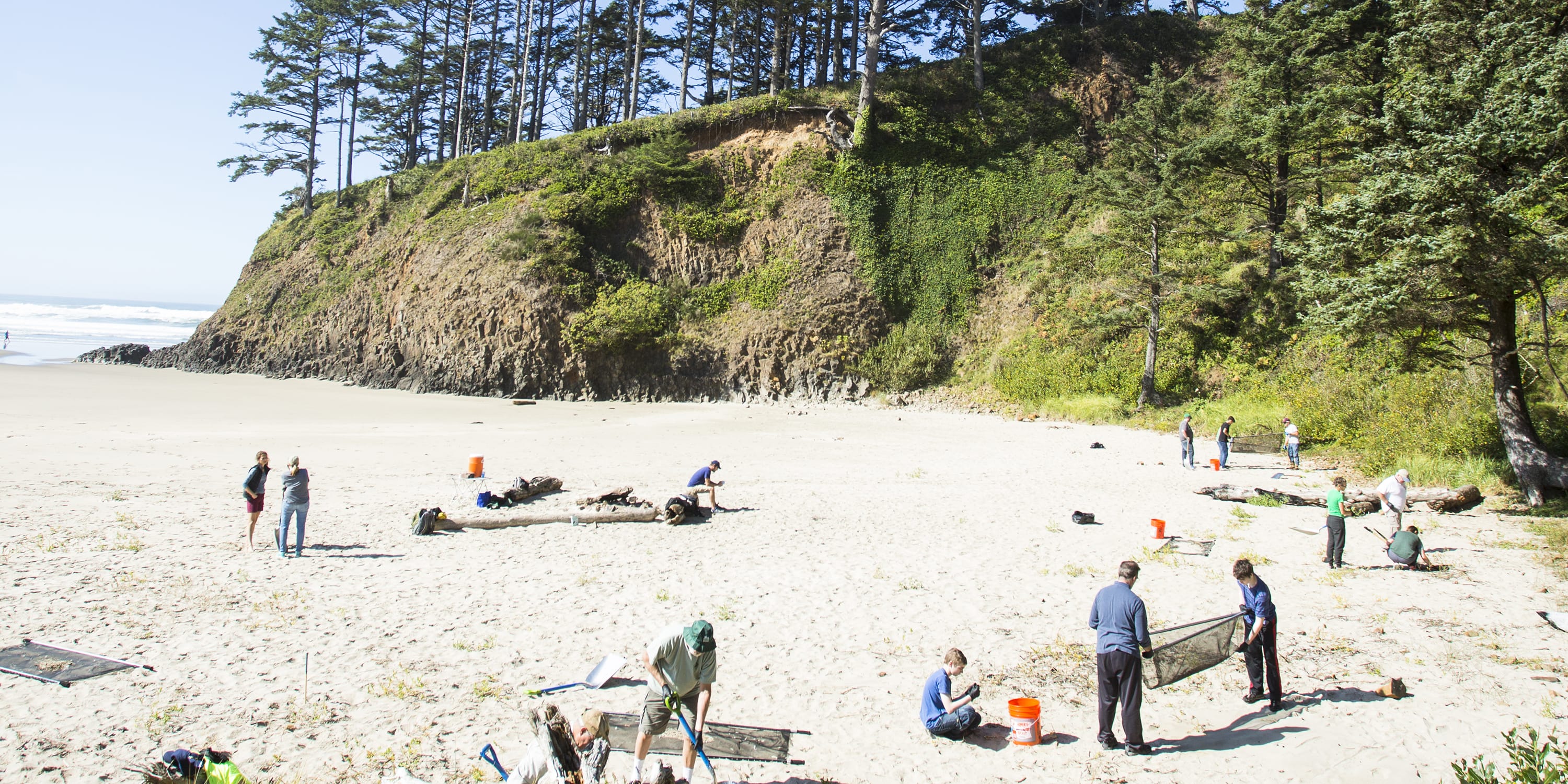 How to Save a Beach from Plastic Pollution | Via