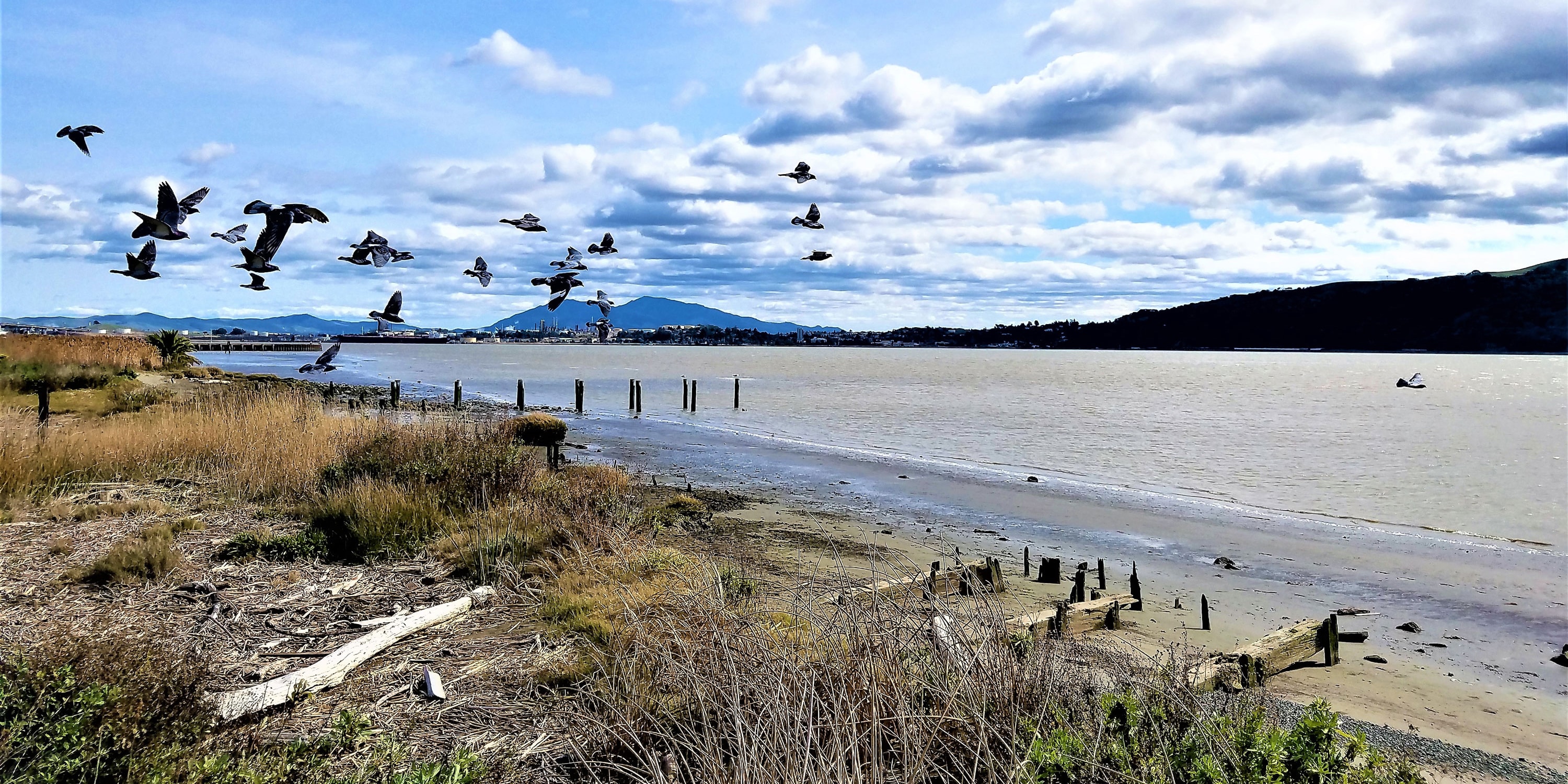 A Weekend in Benicia, California | Via