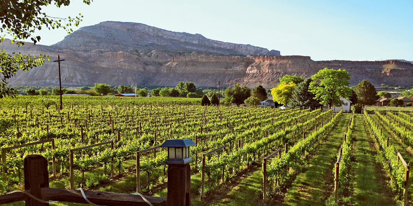 Intriguing Wineries in Colorado, Wyoming, Montana | Via