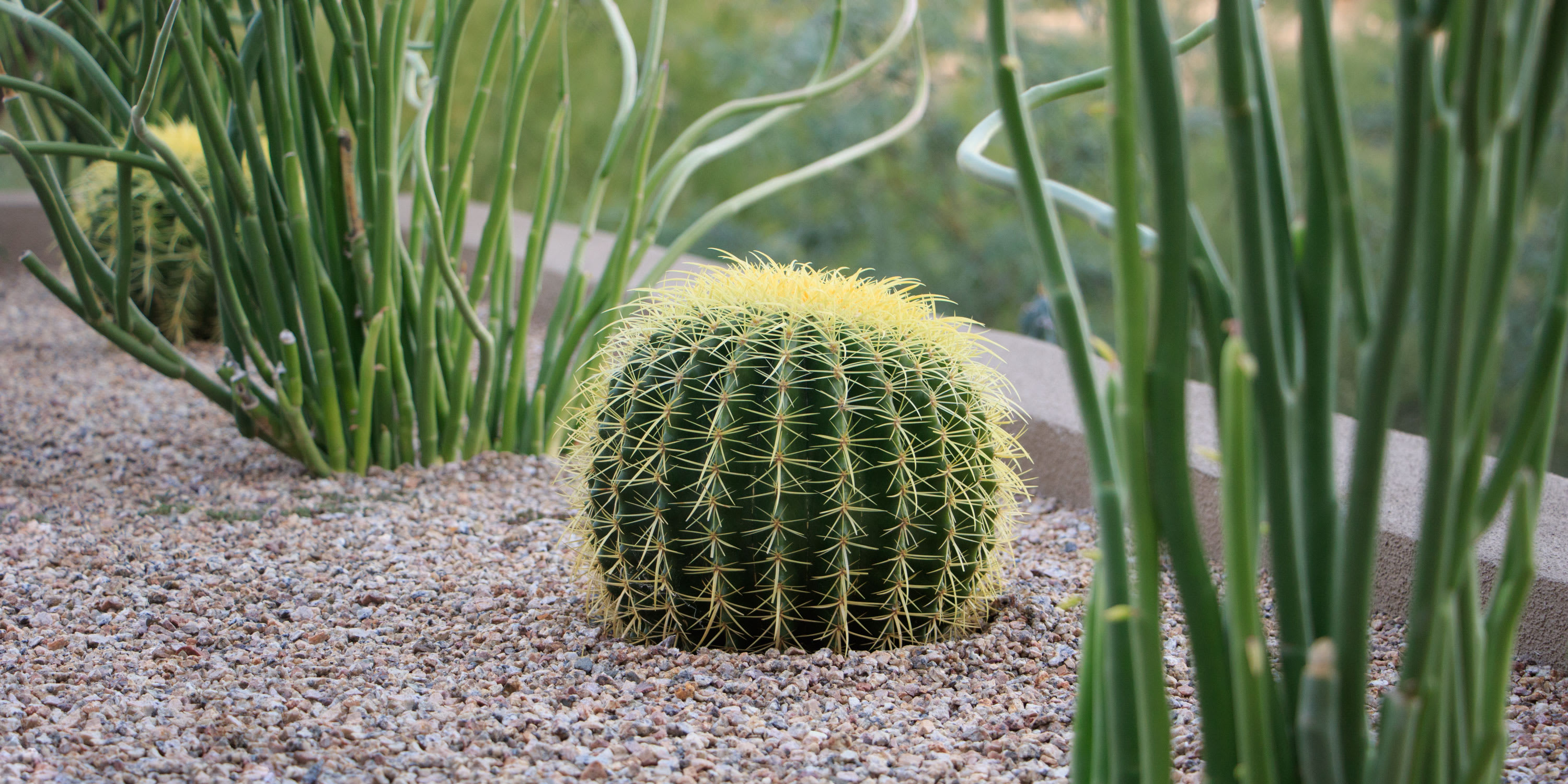 Protect Your Home with Defensible Space and Fire-Smart Landscaping | Via