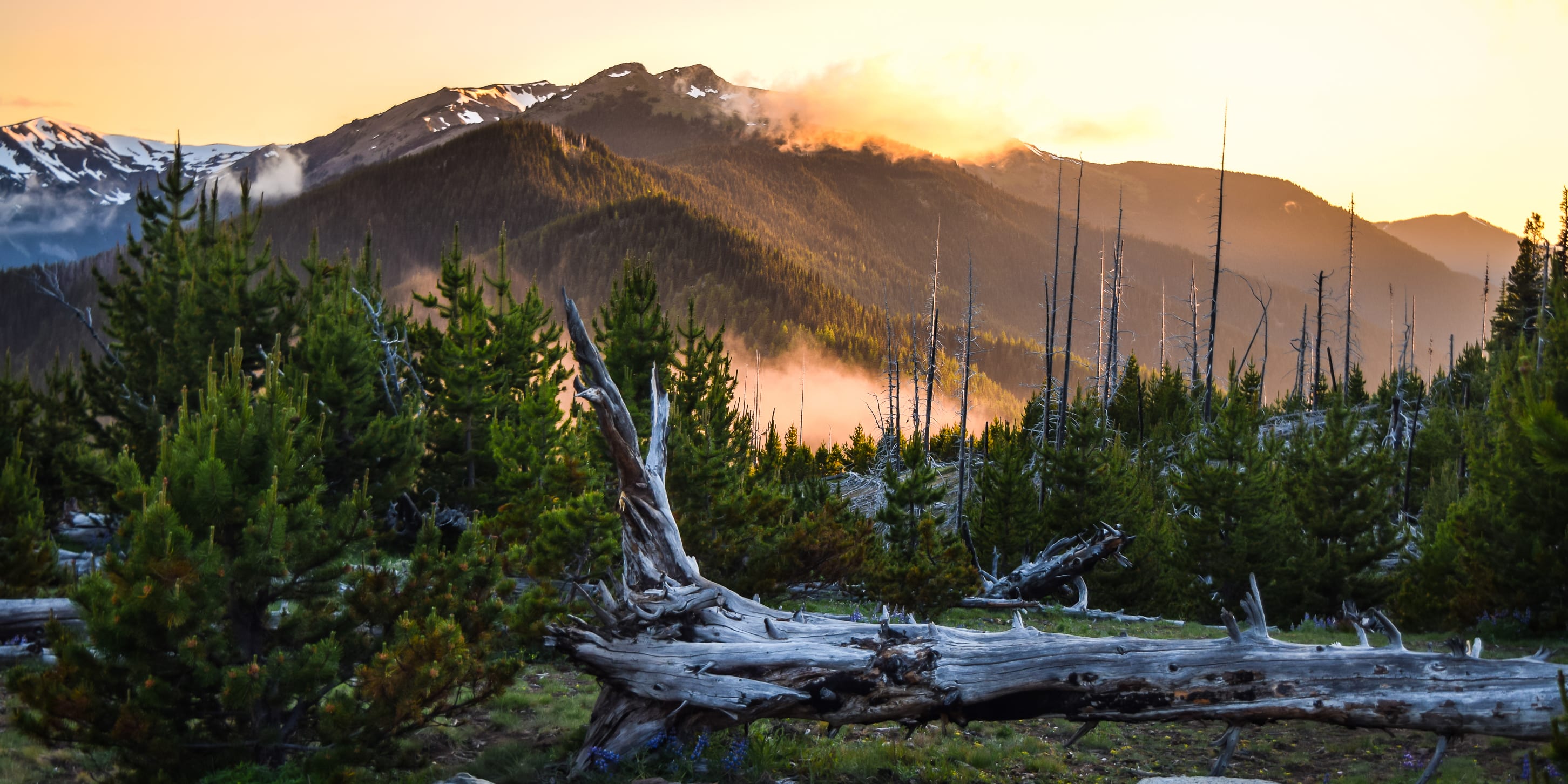 Best National Parks for Hiking, Stargazing, Wildlife, and More | Via