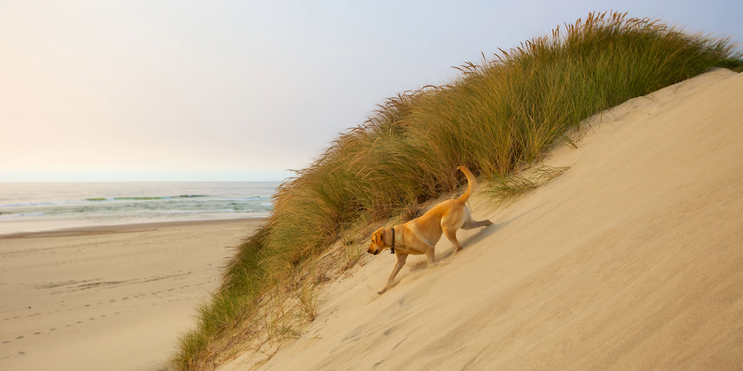 Driving Highway 38 to the Southern Oregon Coast | Via