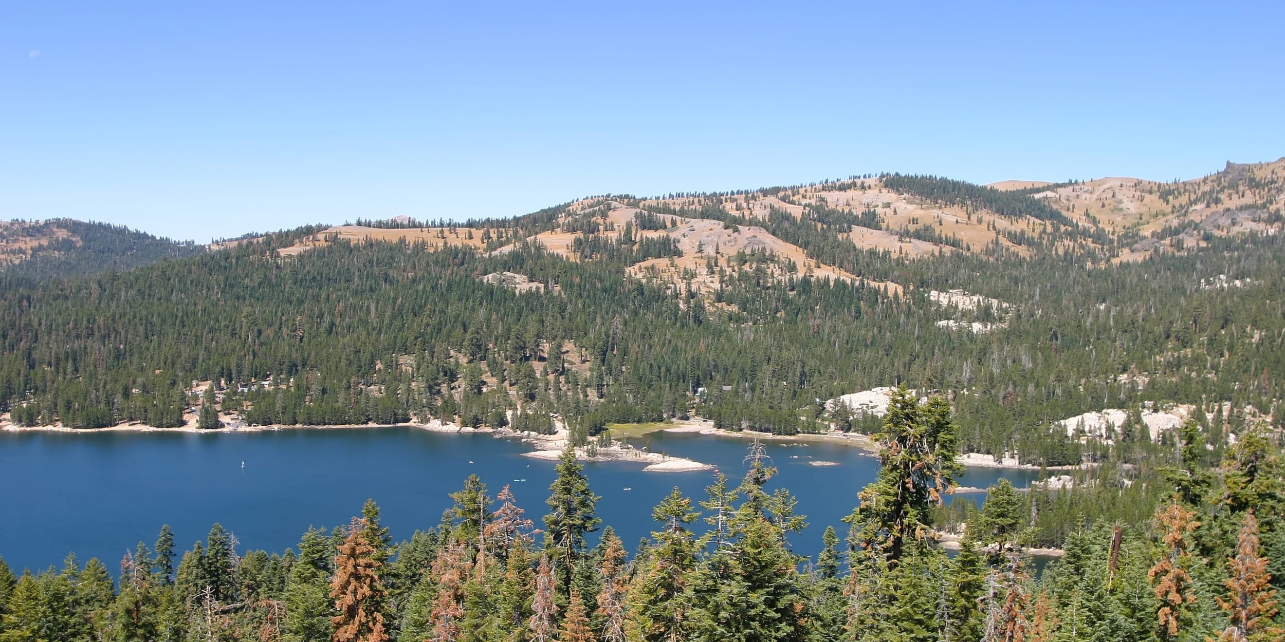 Visiting Bear Valley, California in Summer or Winter | Via