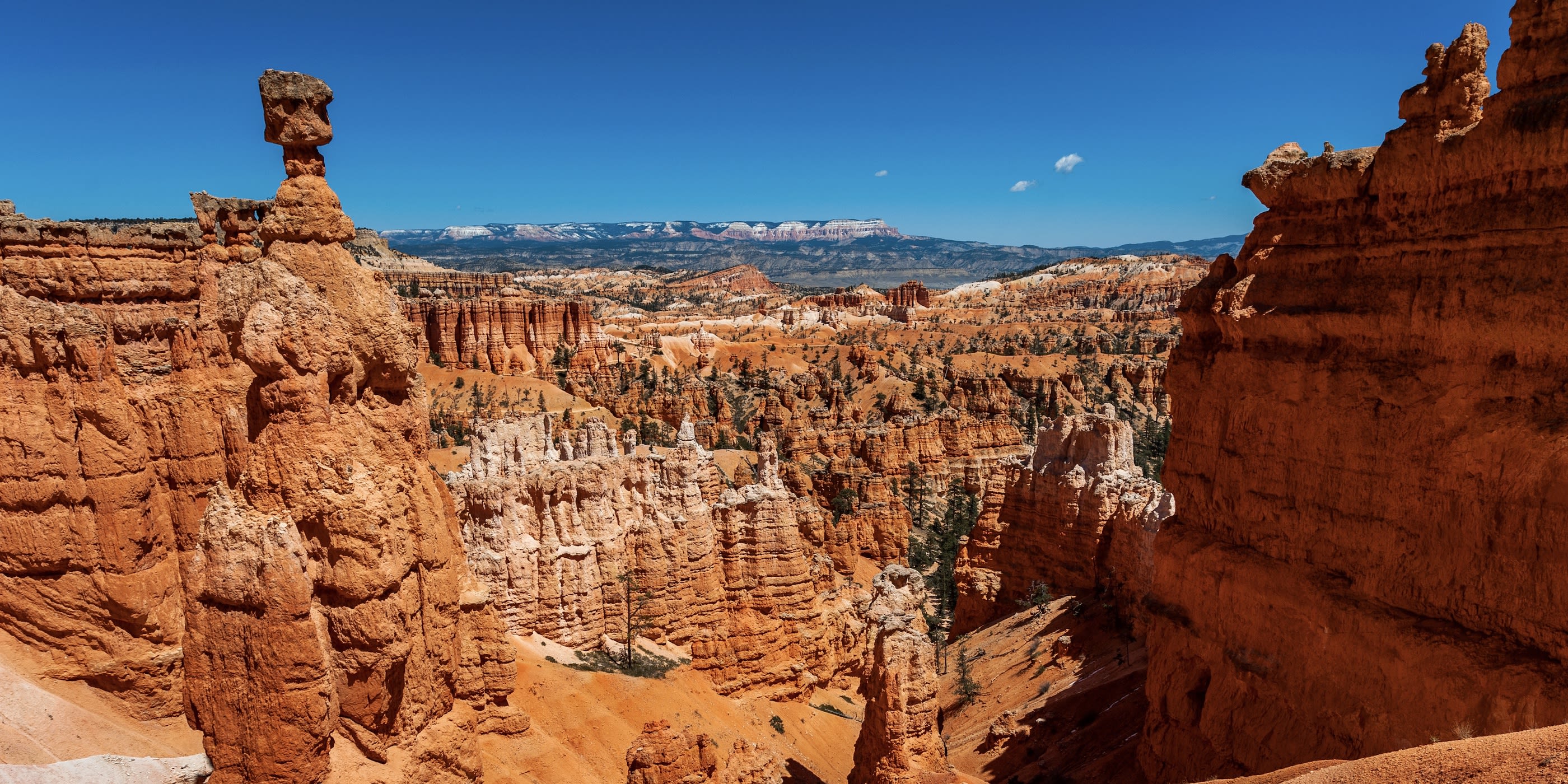 Hoodoos in Bryce Canyon | Via