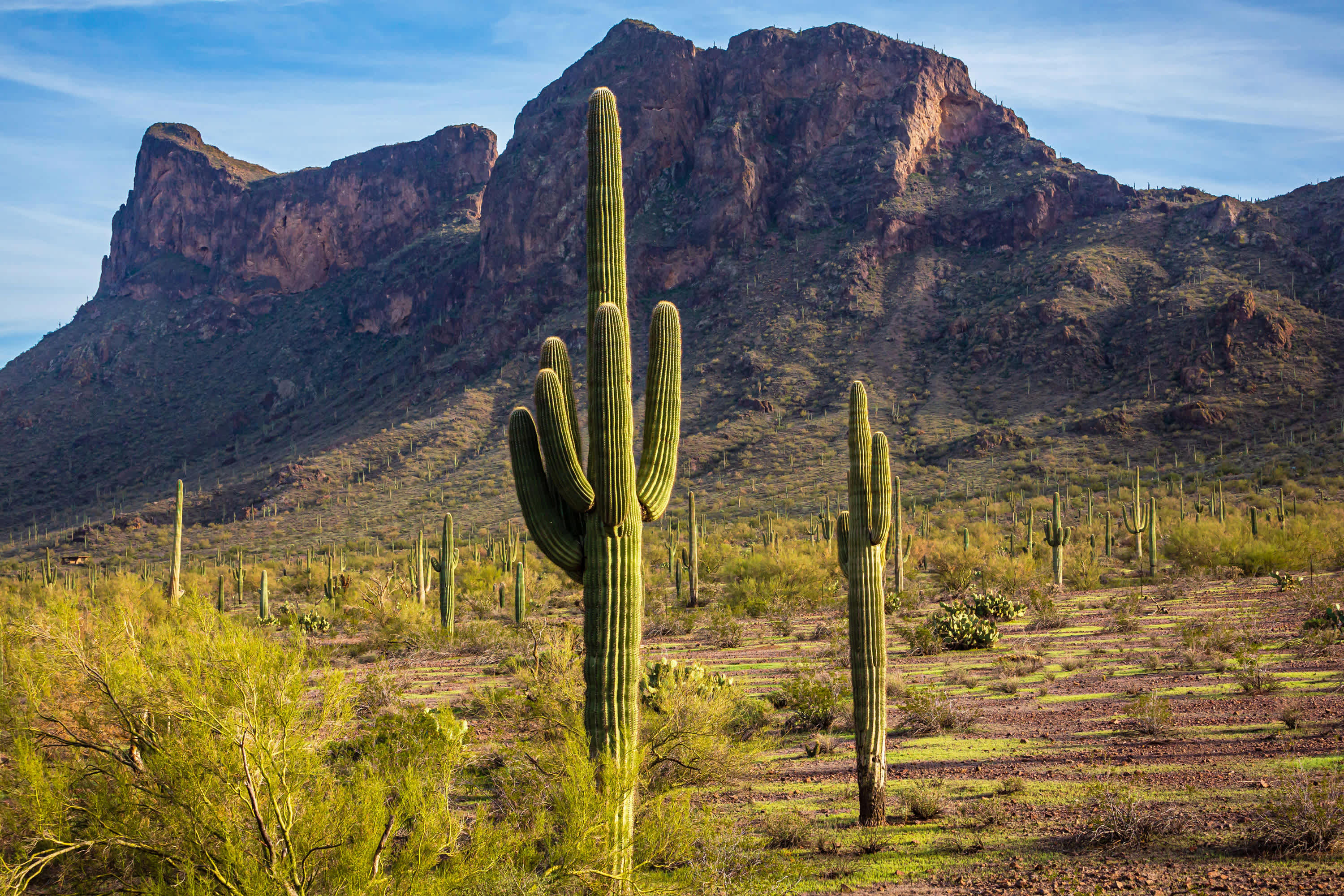 Things to do in and Around Picacho Peak State Park, Arizona | Via