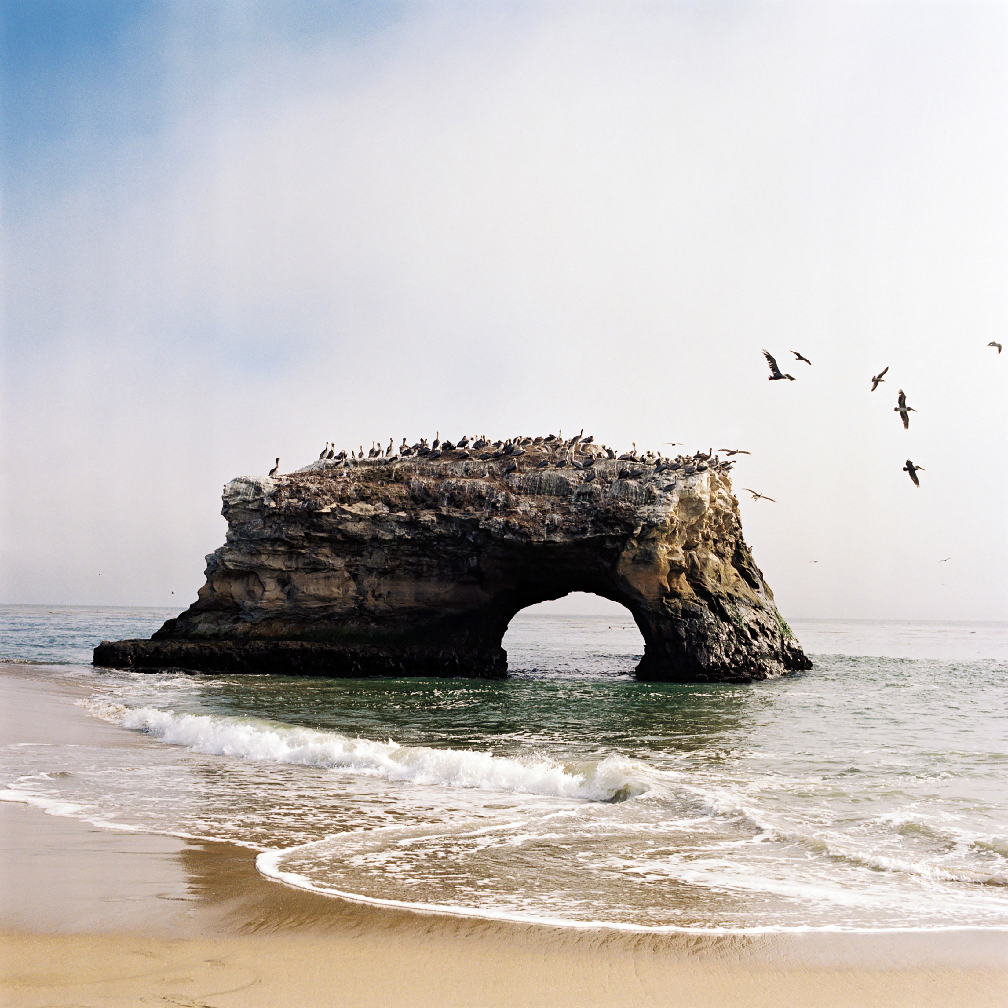 Natural Bridges State Beach in California | Via