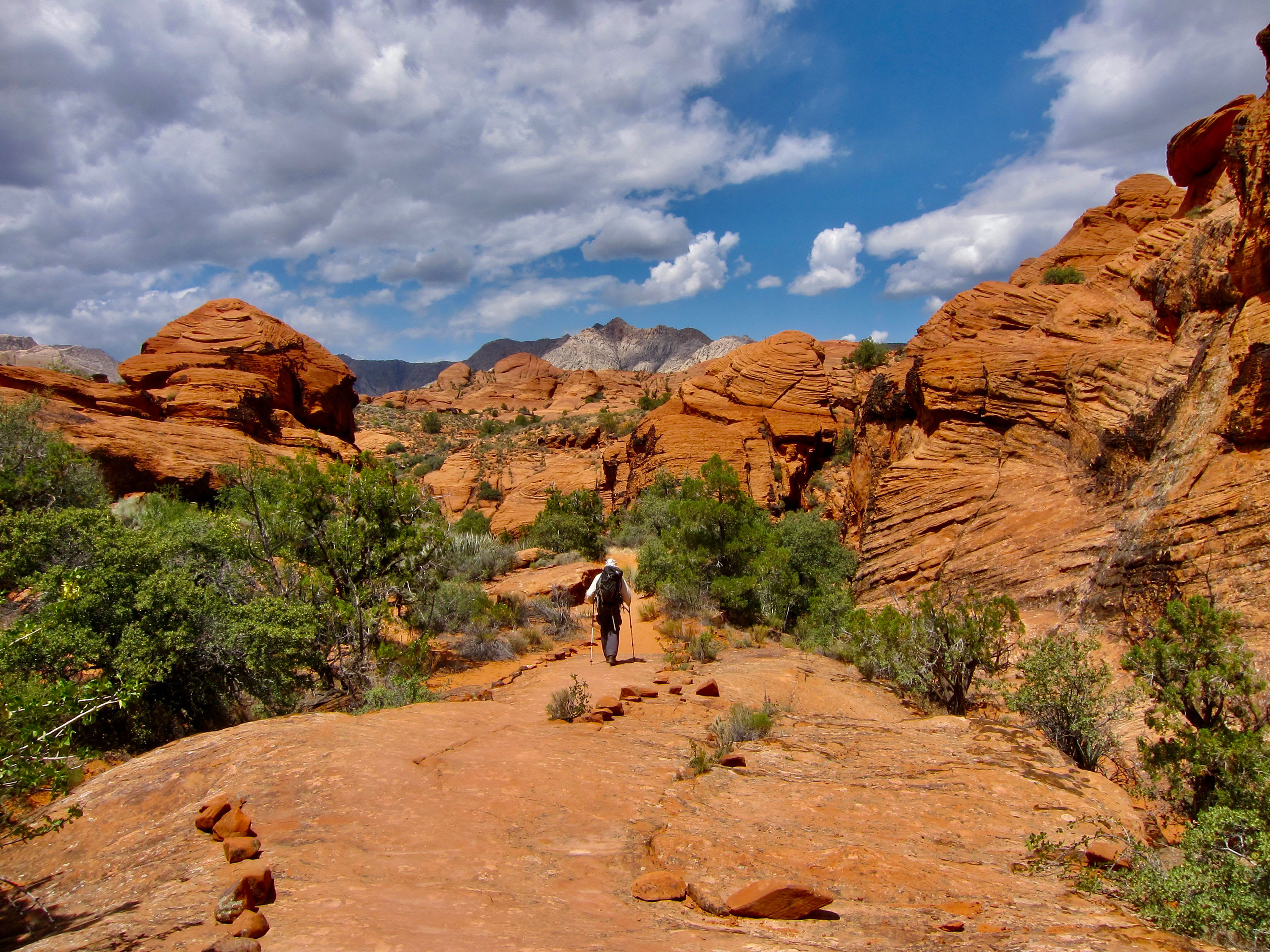 What to Do in Snow Canyon State Park | Via