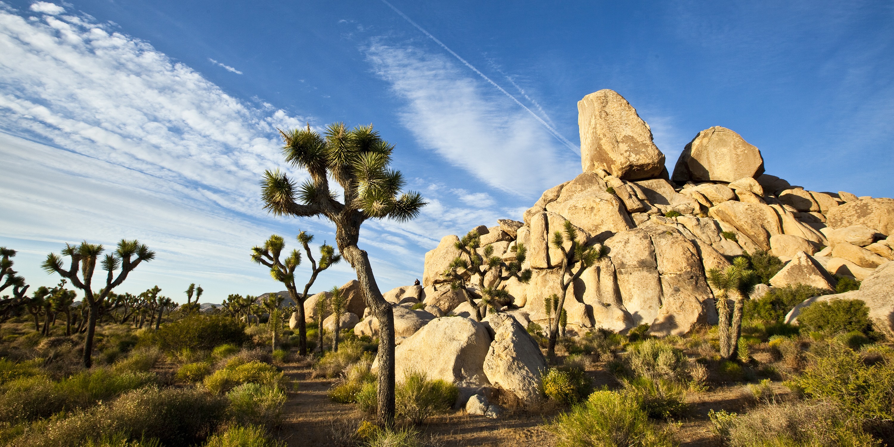 Palm Springs, CA Winter Escape | Via