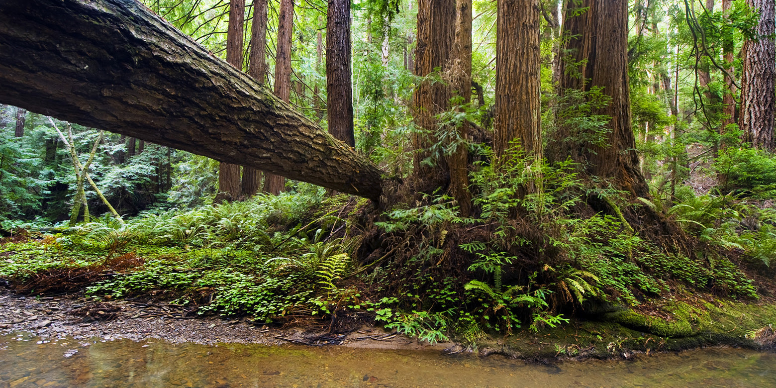 Top California Nature Spots Without the Crowds | Via