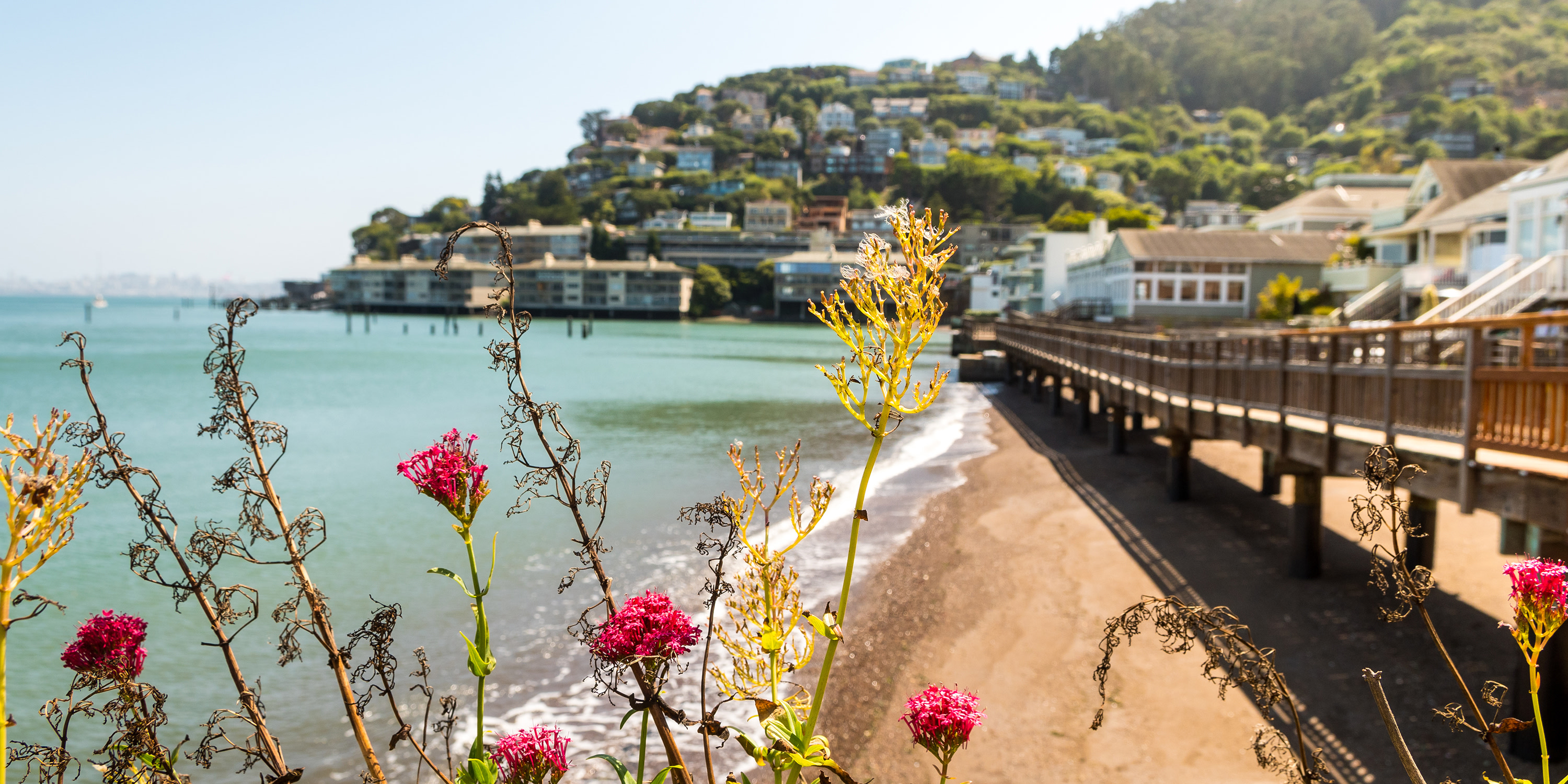 5 Ways to Enjoy San Francisco Bay | Via