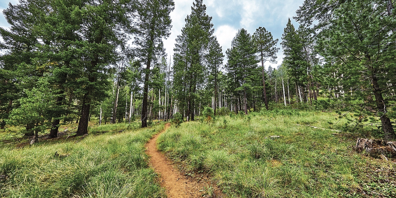 Weekend in Pinetop-Lakeside, Arizona | Via