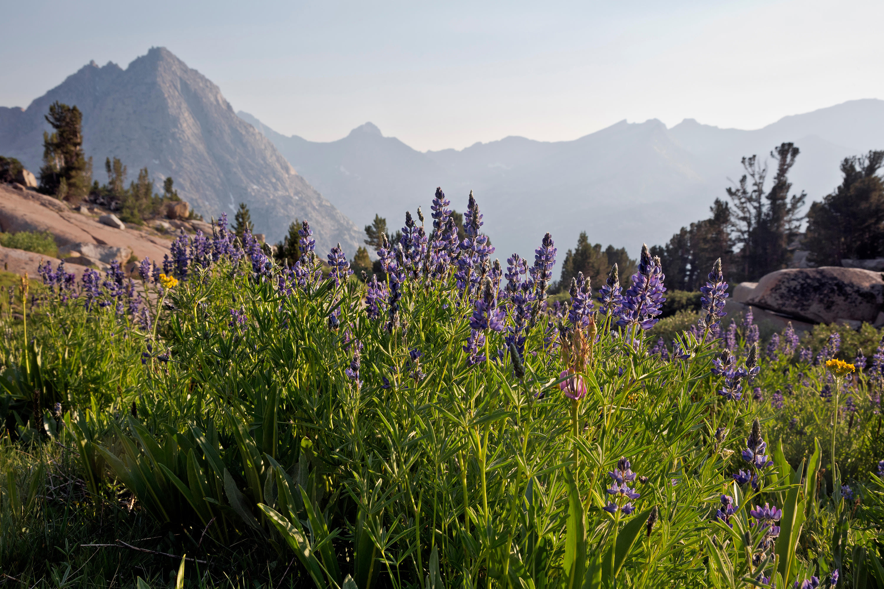 Affordable Spring Break Spots in the West | Via