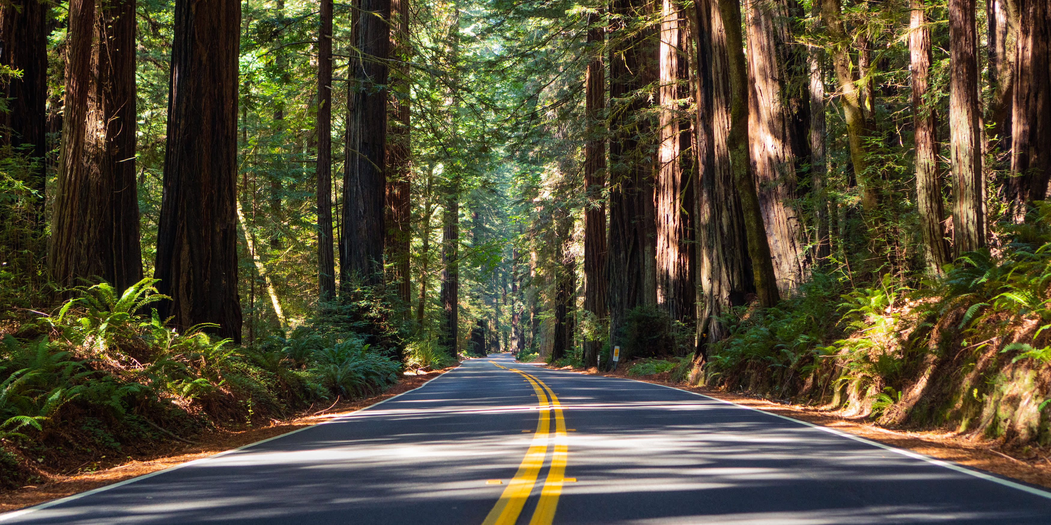 Via Podcast Episode 6: Discover Natural Wonders | Via